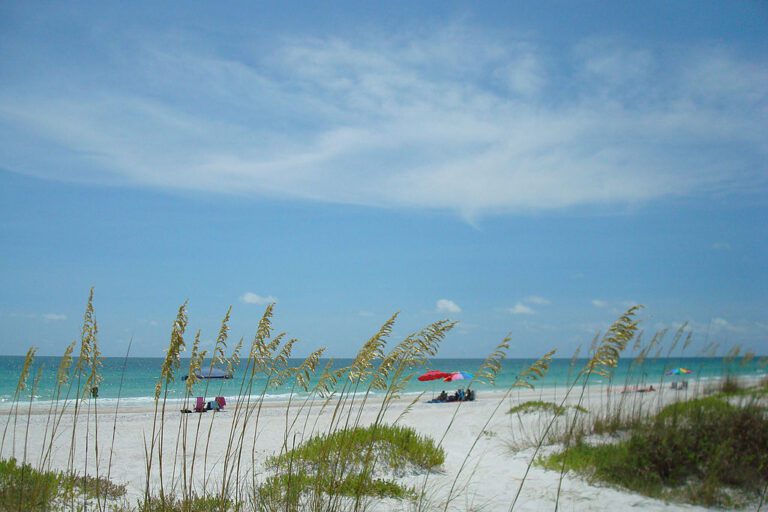 13 Live Siesta Key Florida Webcams - Real-Time Siesta Key News & Weather